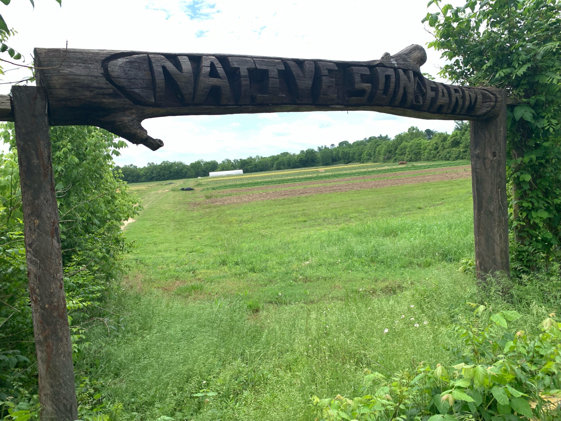 Native Son Farm - Mississippi Hills National Heritage Area